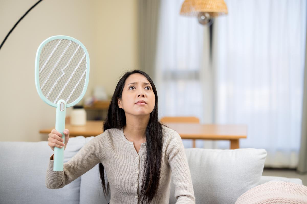 Where Do Mosquitoes Hide in a Room? - How to Get Rid of Them