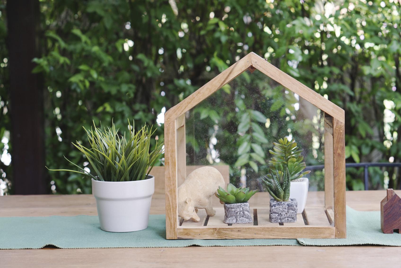 Build A Tabletop Greenhouse DIY Mini Greenhouse For Your Deck Or Patio