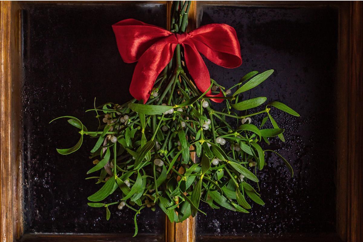 Teorainn Mistletoe