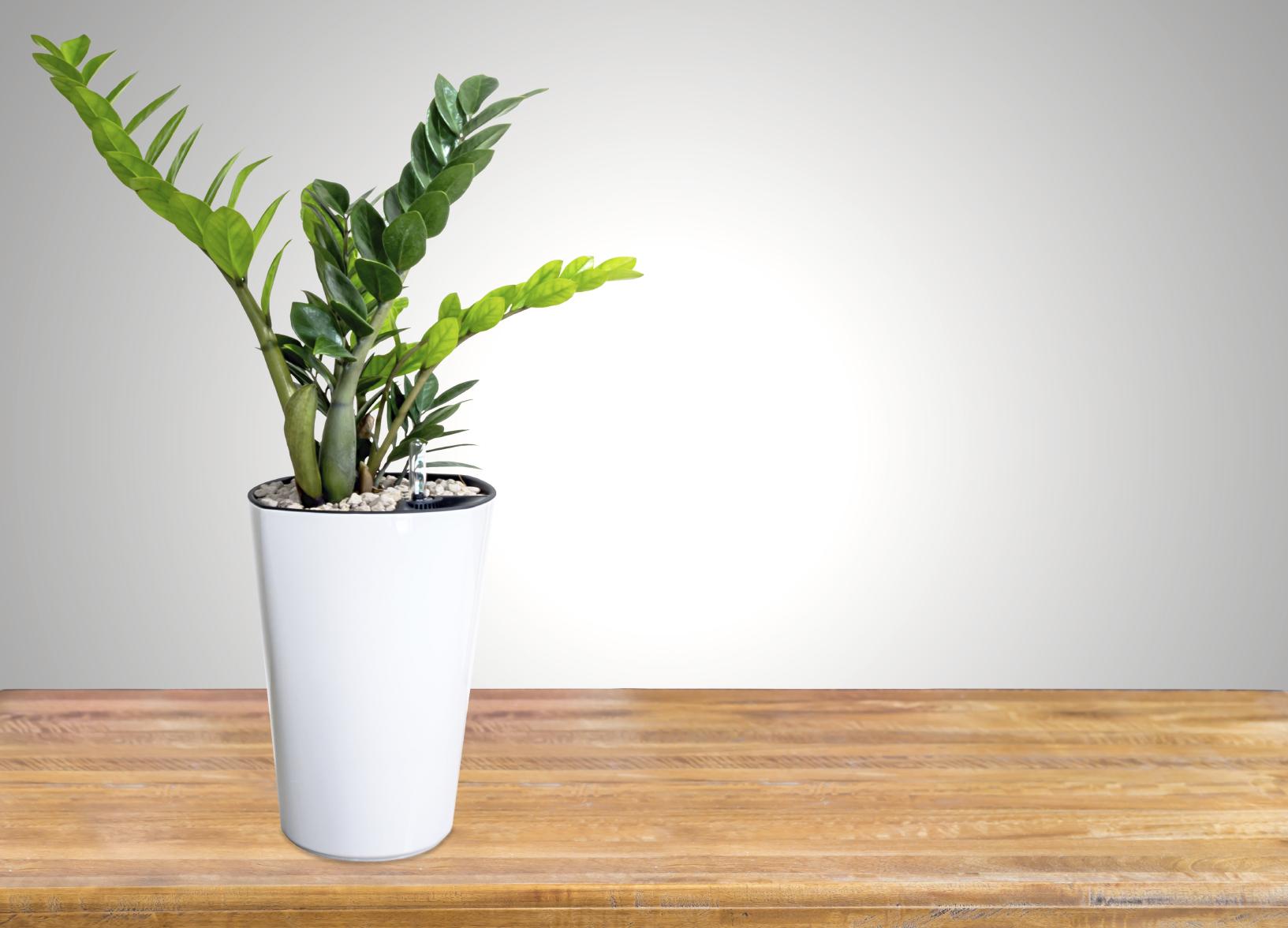 How To Make A Flower Pot With Paper - Easy
