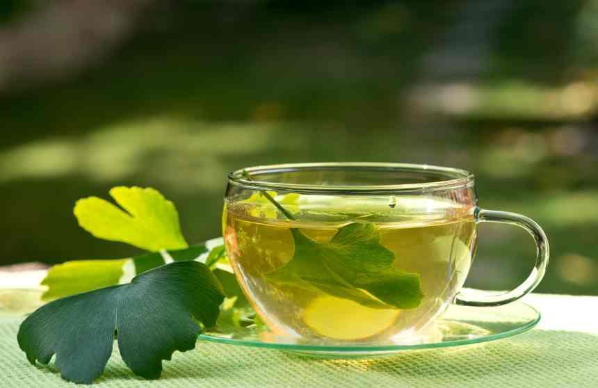How to Make Ginkgo Biloba Tea from Leaves - Easy