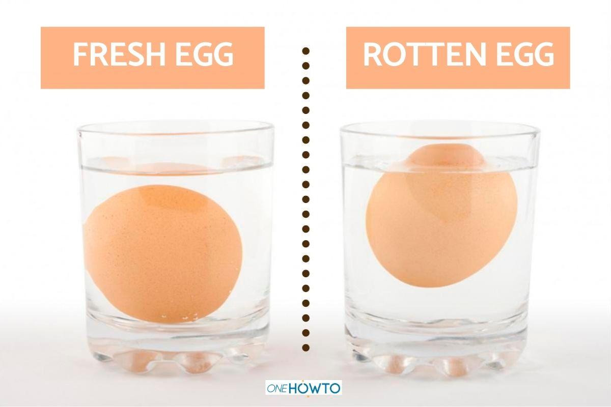How to Know if an Egg Is Fresh - Easy Methods